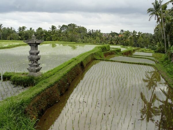 15 Best Things to Visit in Ubud (Bali) - 15tovisit.com